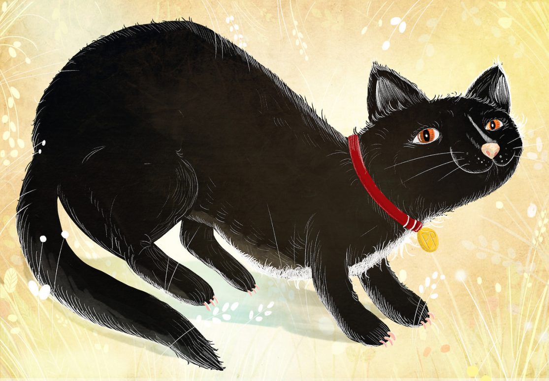 Miscellaneous – David Litchfield Illustration