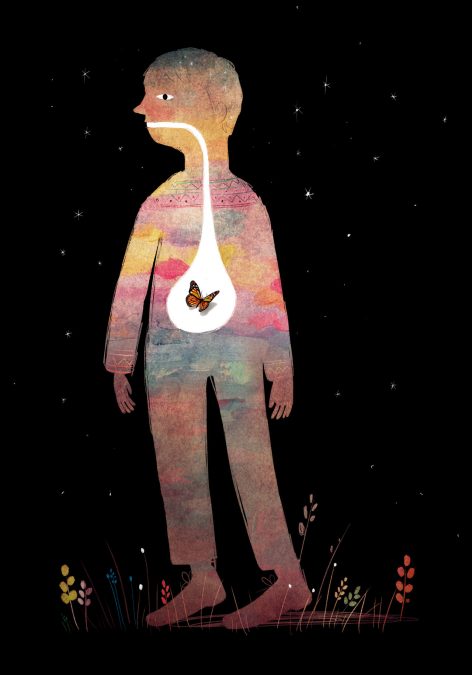 The Boy and the Butterfly – David Litchfield Illustration