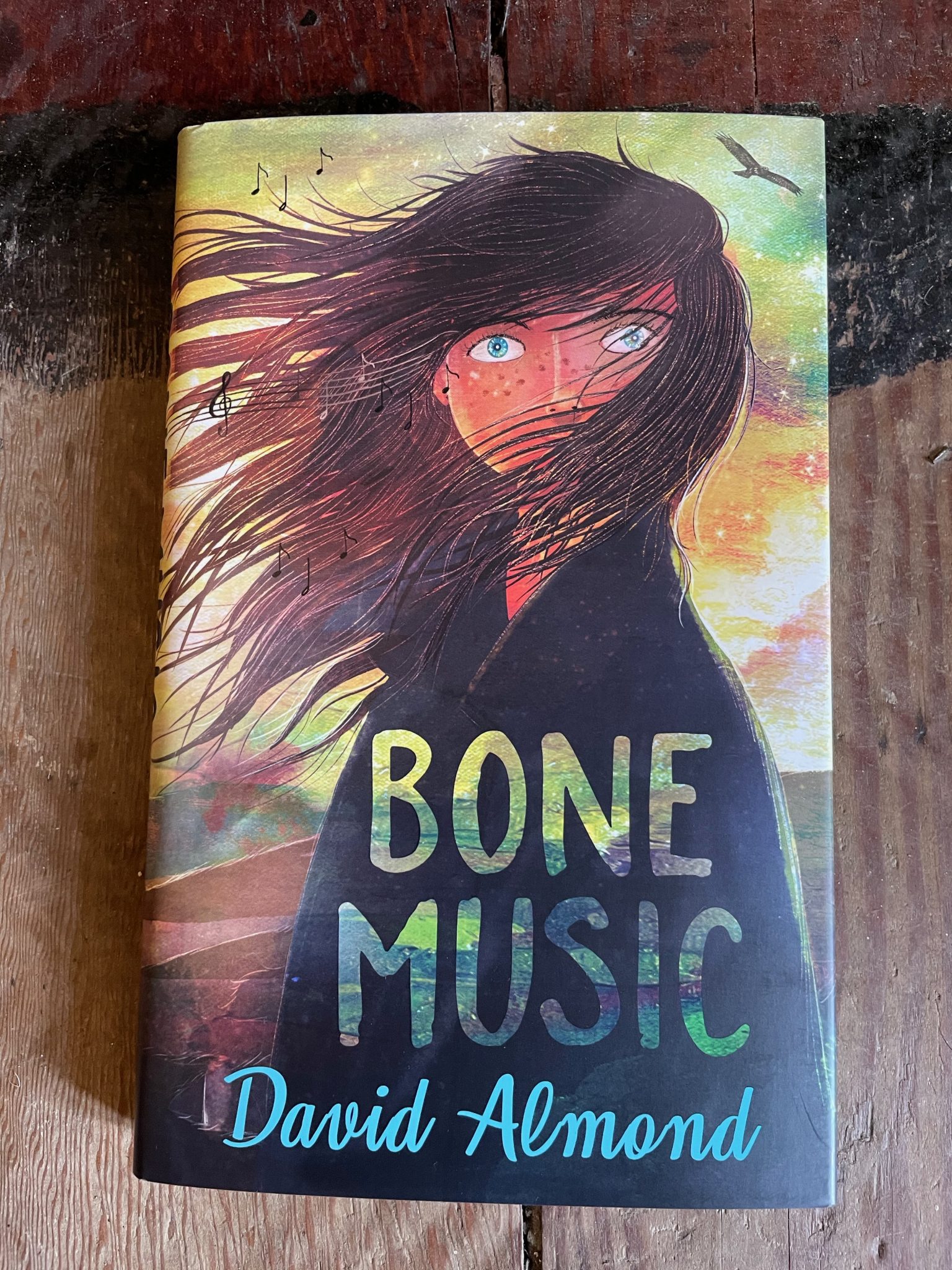 Bone Music – David Litchfield Illustration