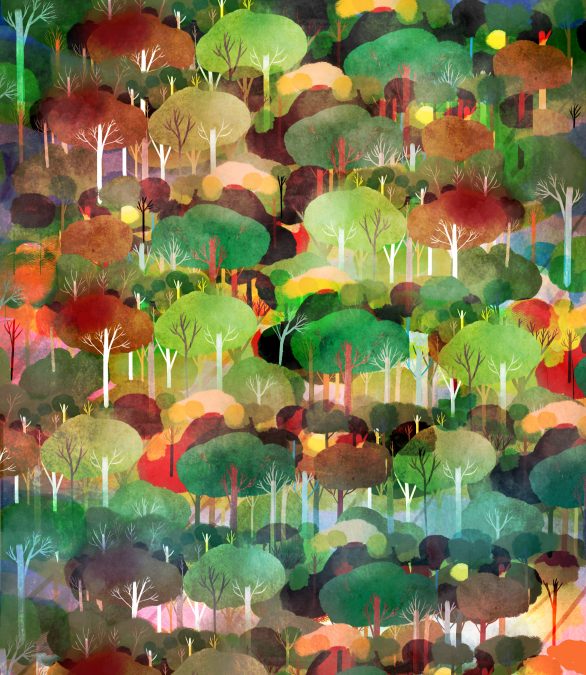 Forest – David Litchfield Illustration