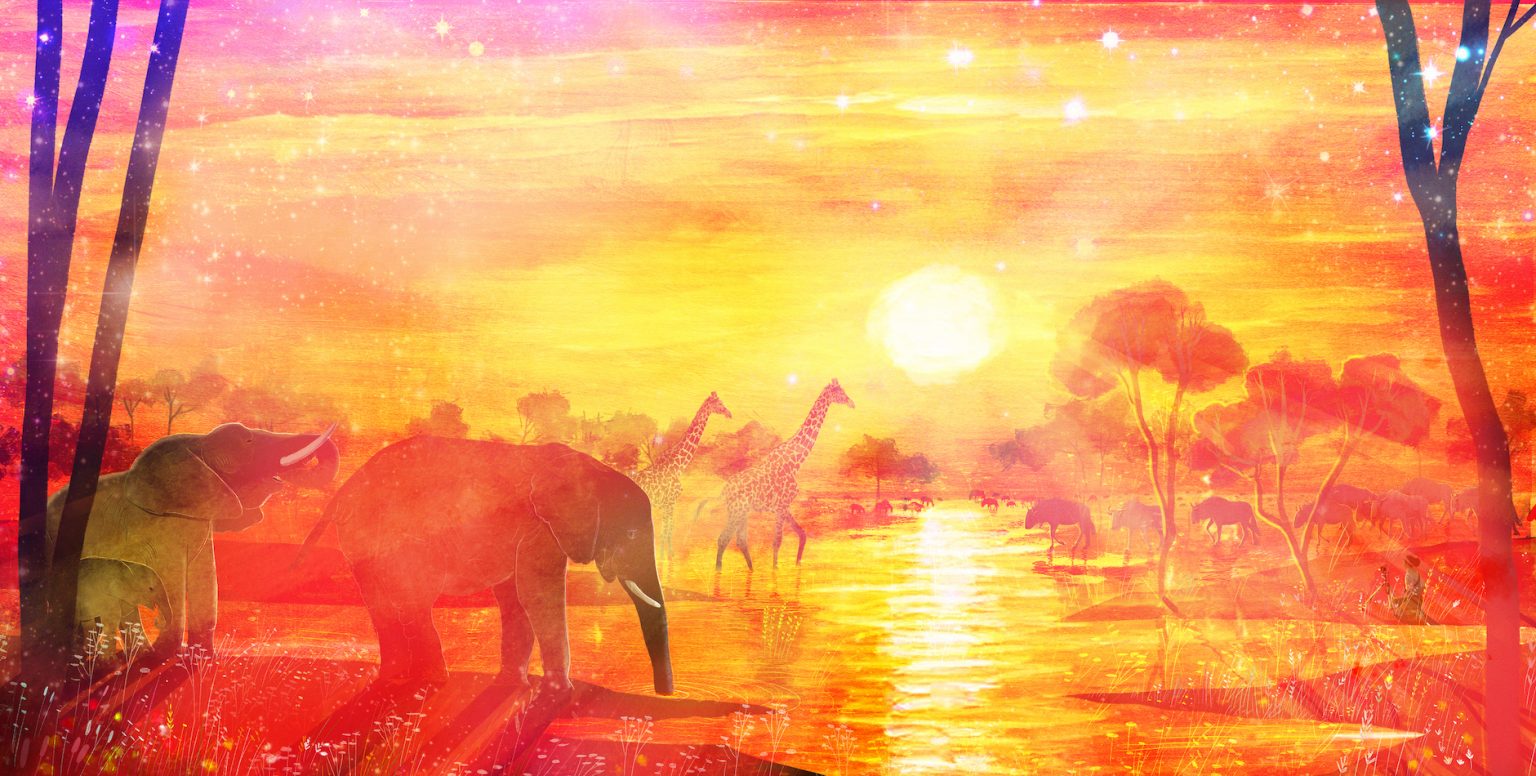 When The Sky Glows. – David Litchfield Illustration