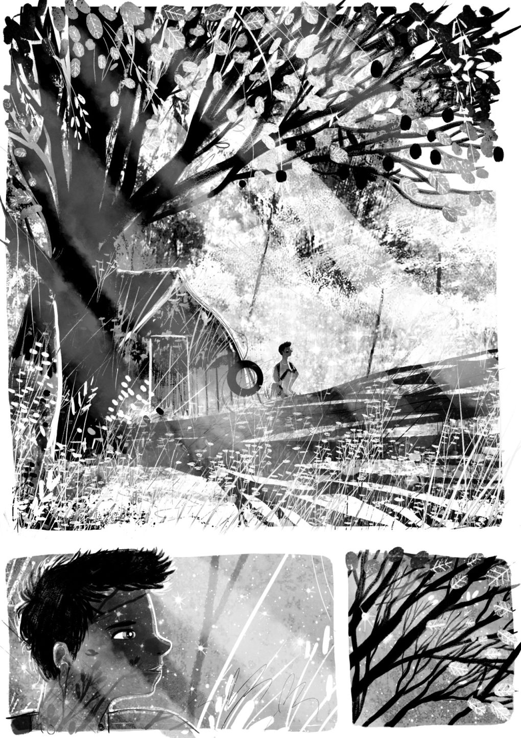ISLAND – David Litchfield Illustration